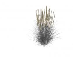 common reed grass 3D Models | Page 1 | STLFinder