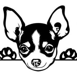 dog laser deterant 3D Models | Page 1 | STLFinder