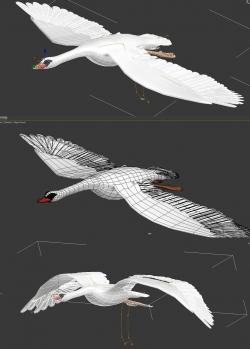 swan skeleton 3D Models | Page 1 | STLFinder