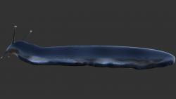 slimy slug crawling gif 3D Models | Page 1 | STLFinder