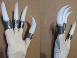 velociraptor claws 3D Models | Page 1 | STLFinder