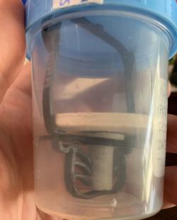 6 figure drop shipper 3D Models | Page 1 | STLFinder