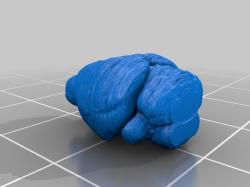 mouse brain 3d model | Page 1 | STLFinder