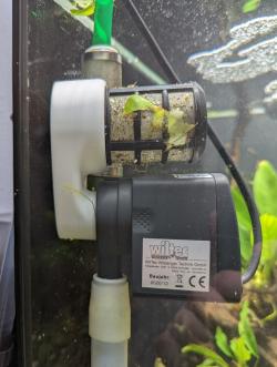 imx to mini jp 3D Models | Page 1 | STLFinder