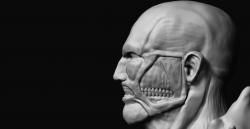 armins colossal titan 3d models 【 STLFinder