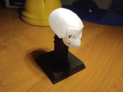 indiana jones skull 3D Models | Page 1 | STLFinder