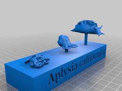 ietm development 3d models 【 STLFinder