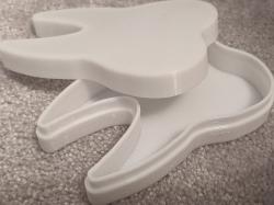 movie tooth under pillow replaced with old coin mb2 3D Models | Page 1 ...