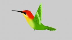 Humming Bird 3D Low Poly Realistic Animated Model 3D Models | Page 1 ...