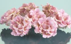 clove pink dianthus 3D Models | Page 1 | STLFinder