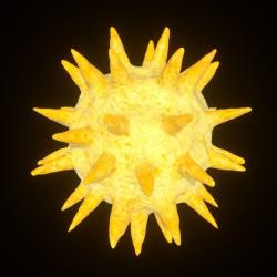 hepatitis a virus 3d model | Page 1 | STLFinder