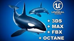 Orca Killer Whale Animated 3D Models | Page 1 | STLFinder