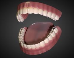 mouth interior 3d model | Page 1 | STLFinder