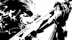 raiden mgs 3d models 【 STLFinder