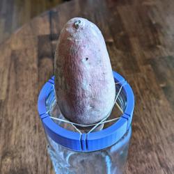 potato jar horn 3D Models | Page 1 | STLFinder