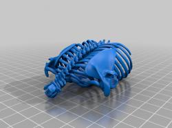 ripperstore shooting skeleton follower by trash 3D Models | Page 1 ...
