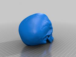plastic skull 3D Models | Page 1 | STLFinder