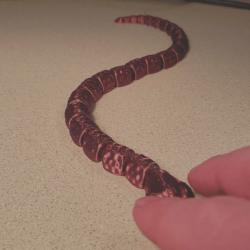 slithery snake 3D Models | Page 1 | STLFinder