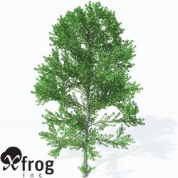 xfrog trees 3d models 【 STLFinder