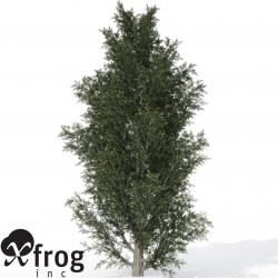 common juniper tree 3D Models | Page 1 | STLFinder