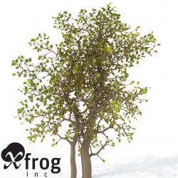 carissa model | Page 1 | STLFinder