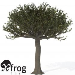sandpaper fig tree 3D Models | Page 1 | STLFinder