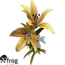 lily lilium 3D Models | Page 1 | STLFinder