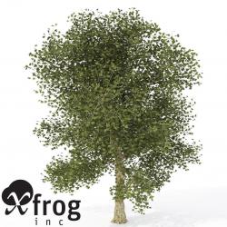planetree model | Page 1 | STLFinder