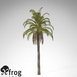 queen palm 3d models | Page 1 | STLFinder