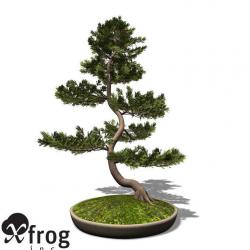 scotch pine bonsai 3D Models | Page 1 | STLFinder