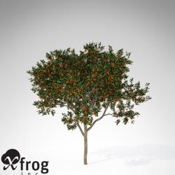 my sweet orange tree pdf 3D Models | Page 1 | STLFinder