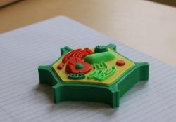 plant cells 3D Models | Page 1 | STLFinder