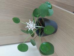 spider on stick osrs 3d models 【 STLFinder