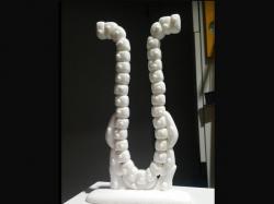 colonic crypt 3D Models | Page 1 | STLFinder