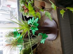 template by devhunters com add article the time jungle love 3D Models | Page 1 | STLFinder