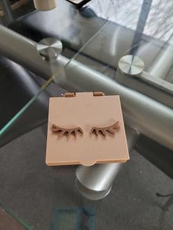 eyelash case 3D Models | Page 1 | STLFinder