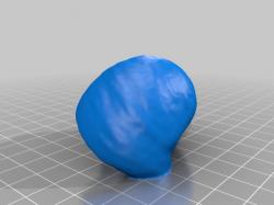 cone snail shell 3D Models | Page 1 | STLFinder