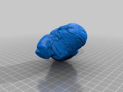 anatomy cerebellum 3D Models | Page 1 | STLFinder