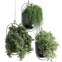 skp hanging plant indoor free 3D Models | Page 1 | STLFinder