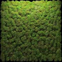 moss panels 3D Models | Page 1 | STLFinder