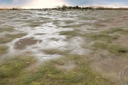 texture mud 3D Models | Page 1 | STLFinder