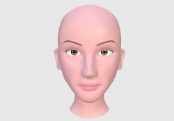 high poly head 1 4 선행 모드 3D Models | Page 1 | STLFinder