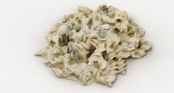 creamy poultry pasta feature magazine feature poultry pasta 3D Models ...
