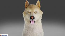 gray wolf fur 3D Models | Page 1 | STLFinder