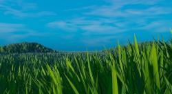 ao3e game 3d engine | Page 1 | STLFinder