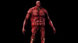 realistic titan 3D Models | Page 1 | STLFinder