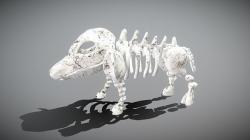 boar skeleton 3D Models | Page 1 | STLFinder