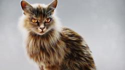 hyper realistic cat 3D Models | Page 1 | STLFinder
