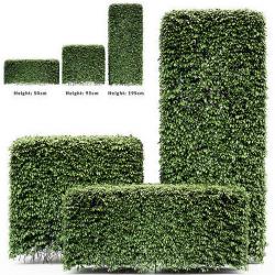 dwarf yaupon hedge 3D Models | Page 1 | STLFinder