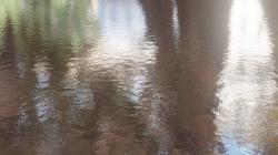 blender animated texture 3D Models | Page 1 | STLFinder